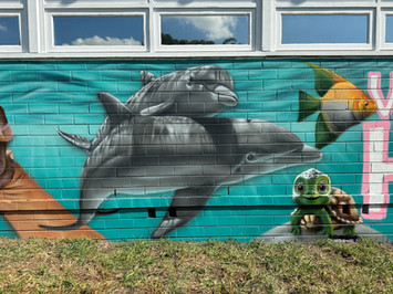 Street Art | Mr Mural | Sydney