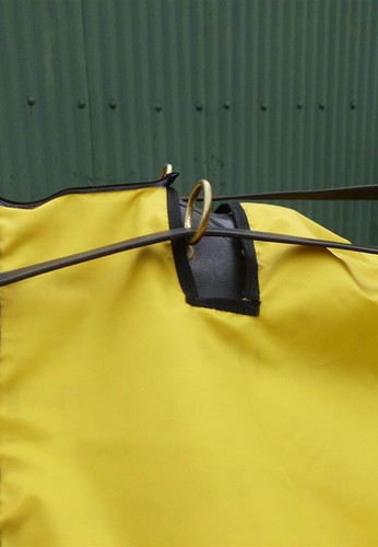 Mini Pony Carriage Driving Exercise Sheet | Not Just Horses