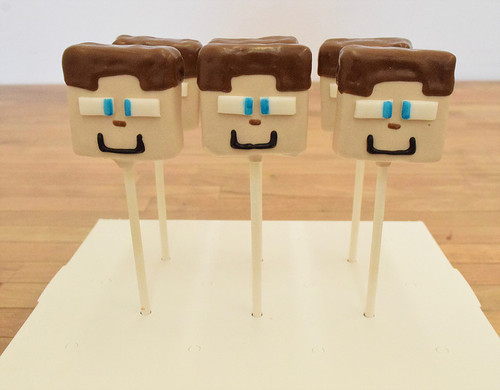 6 Minecraft Steve Cake Pops | sugarbabiesbakeshop