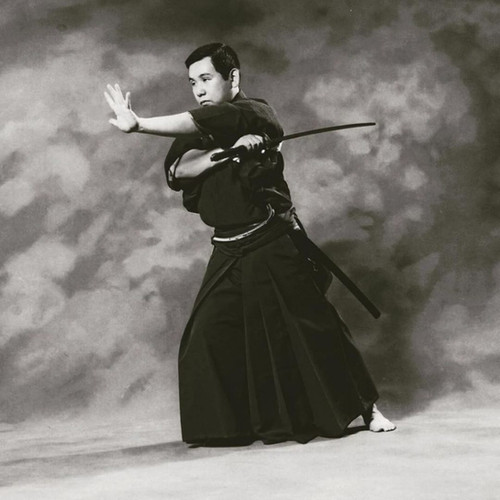 RYUSHIN SHOUCHI RYU Intro Class | Ryushin Kan