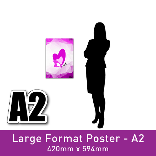 Large Format Poster - A2 (within 4 sqft) | vzprint (online)