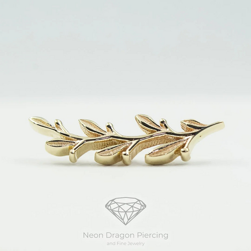 Amity | Neon Dragon Piercing