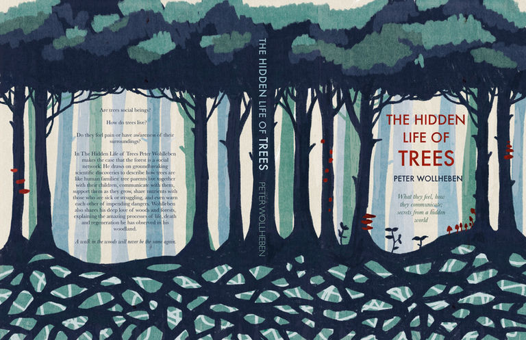 Illustration | Amy Musgrave