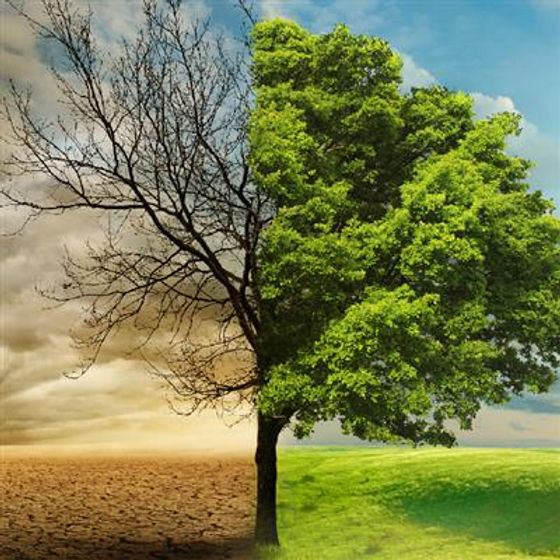 In focus: Our "Death / Why Do We All Die? & How To Not Fear Death ...