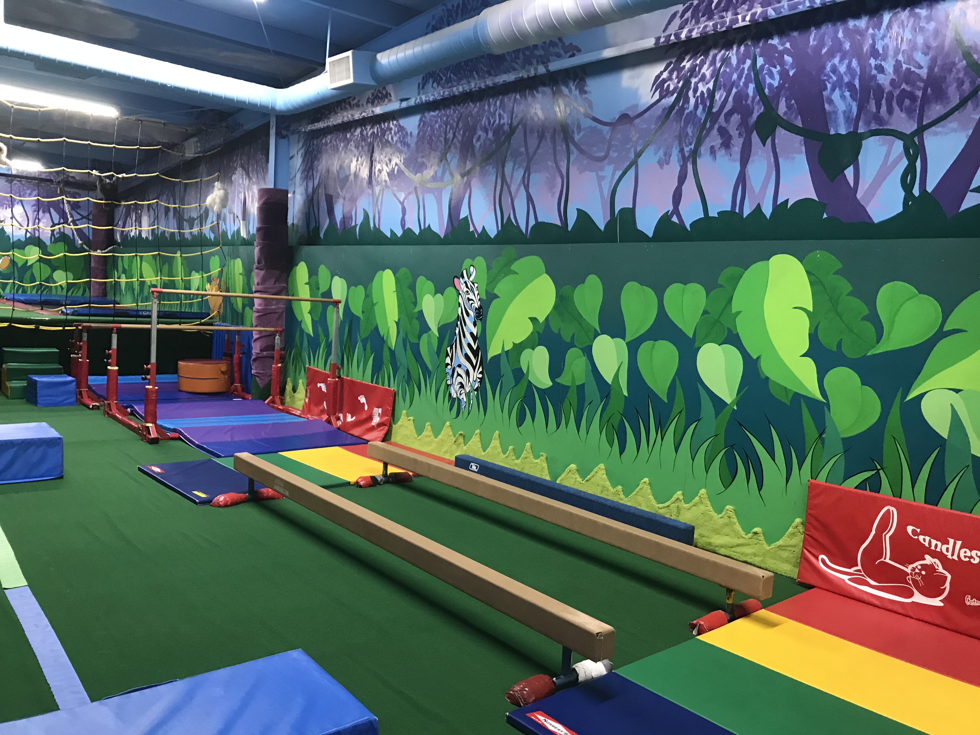 Location/contact | WOW Gymnastics
