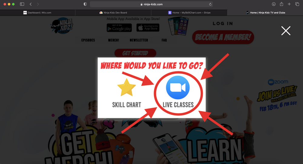 How To Join Live Classes!