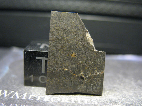 NWA 16286 | WWMeteorites
