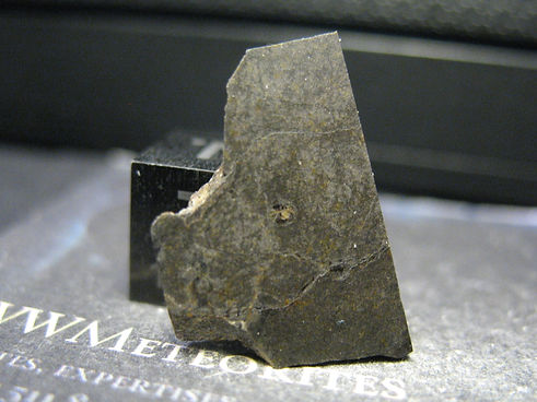 NWA 16286 | WWMeteorites