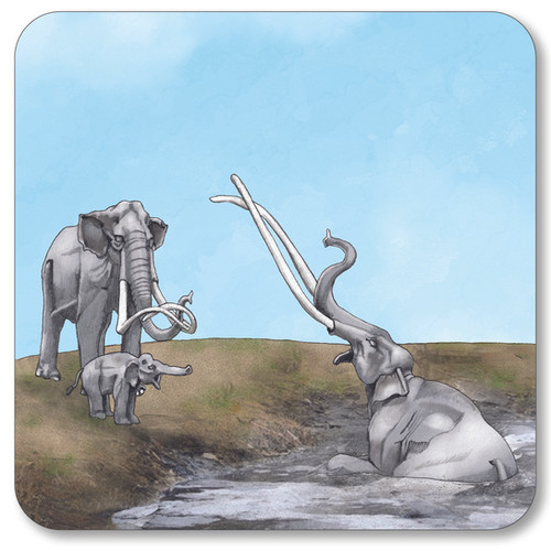 La Brea Tar Pits Coaster Color Our Town