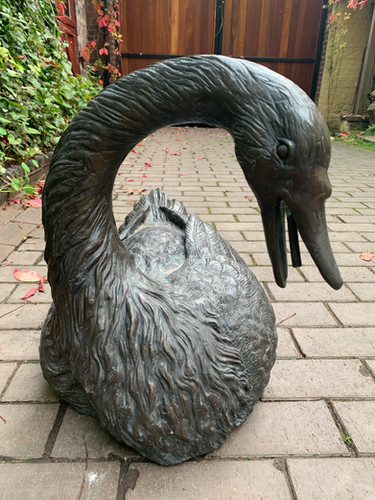 Lovely Life Size Bronze Swan Water Feature. | Malthouse Interiors