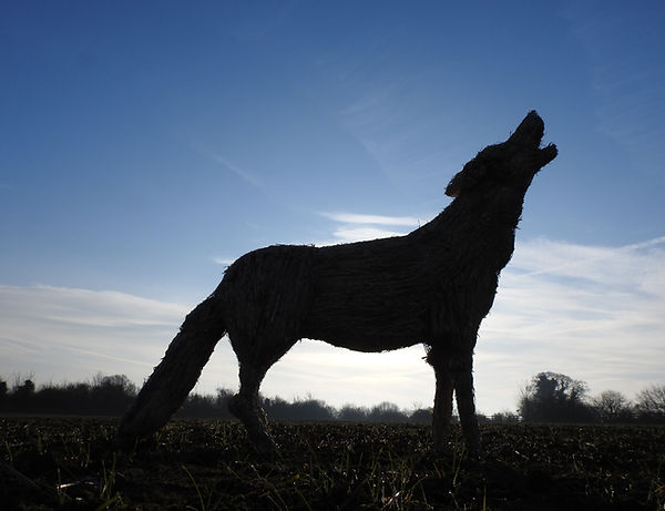 Contact | The Straw Store