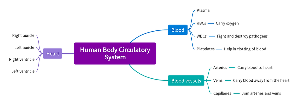 EFFECTIVENESS OF MIND MAPPING TECHNIQUE FOR THE NEET PREPARATION