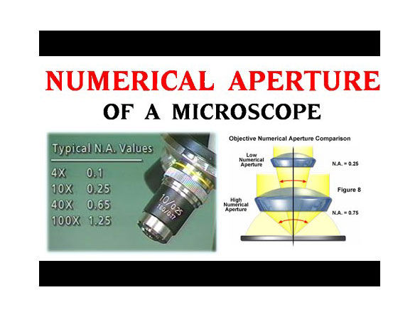 Microscope Objectives - Numerical Aperture (NA) Explained