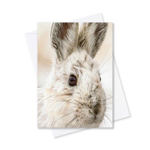 Snowshoe Hare Greeting Card | Goat & Gopher
