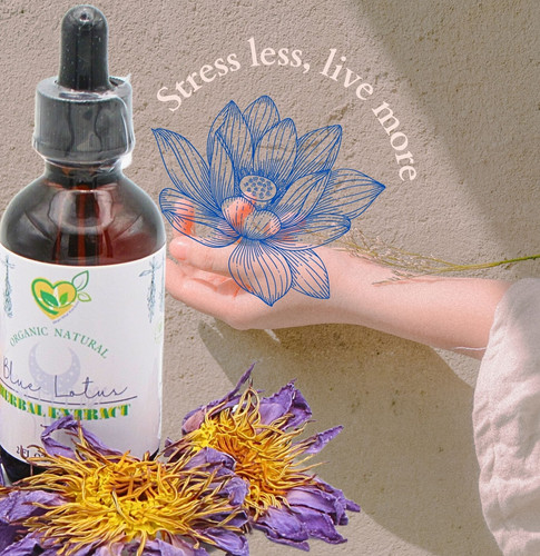 Organic Blue Lotus Herbal Extract: Premium Natural Tincture Liquid ...