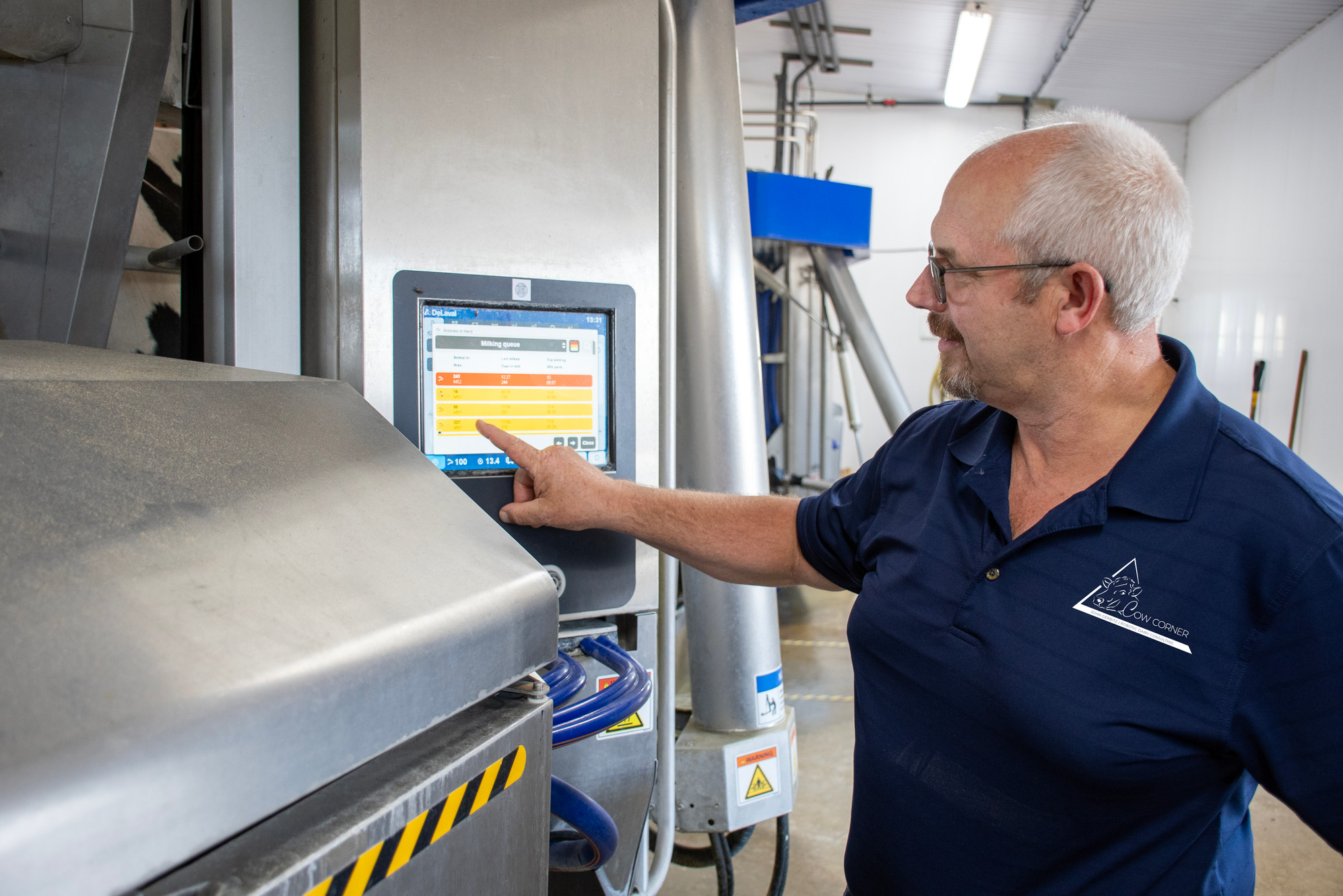 Cow Corner | John Gerbitz