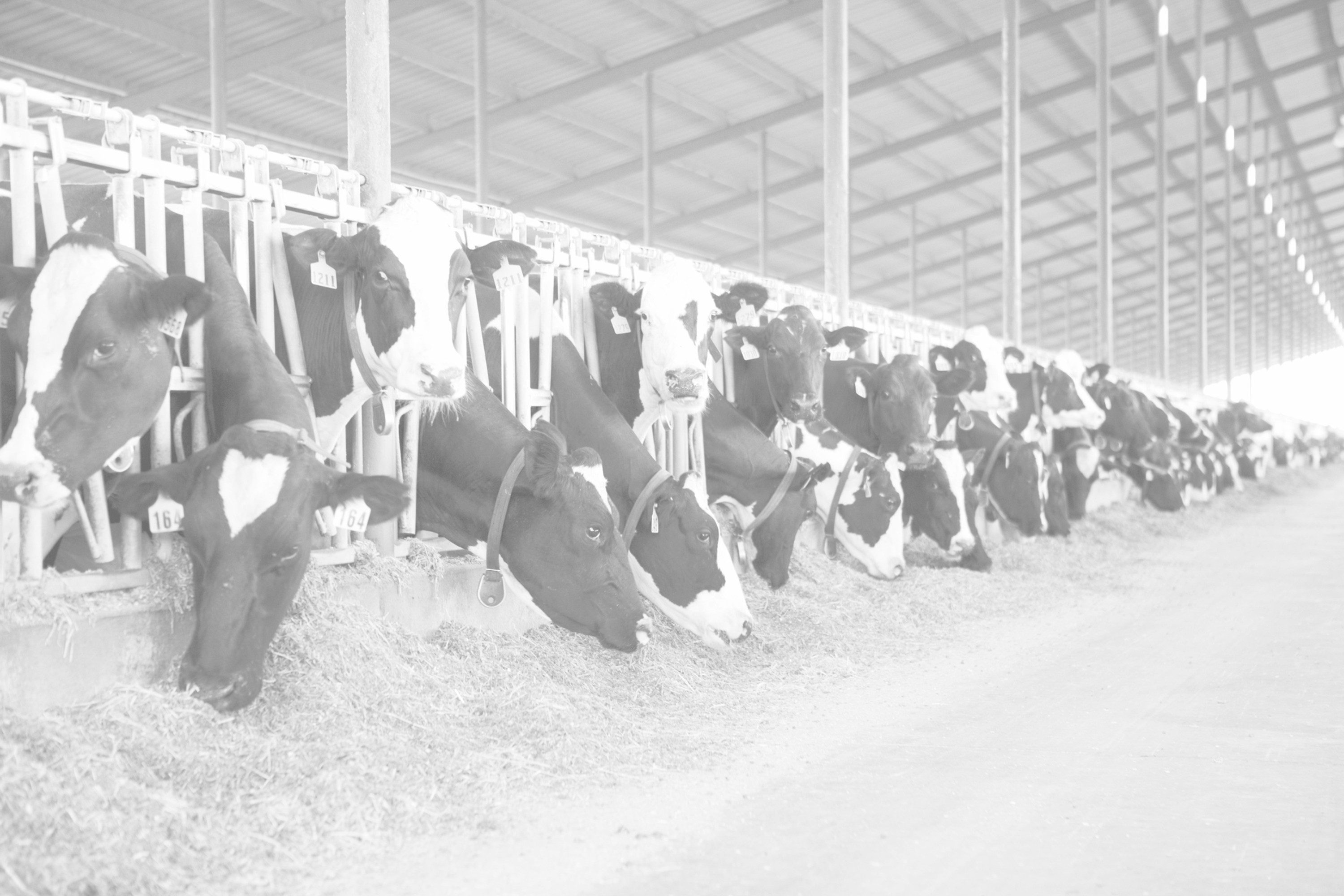 HERD MANAGEMENT SYSTEM SUPPORT | HPR