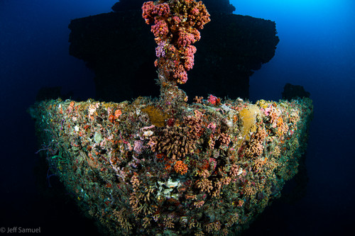 Shipwreck Bow | Subsurface Veterans