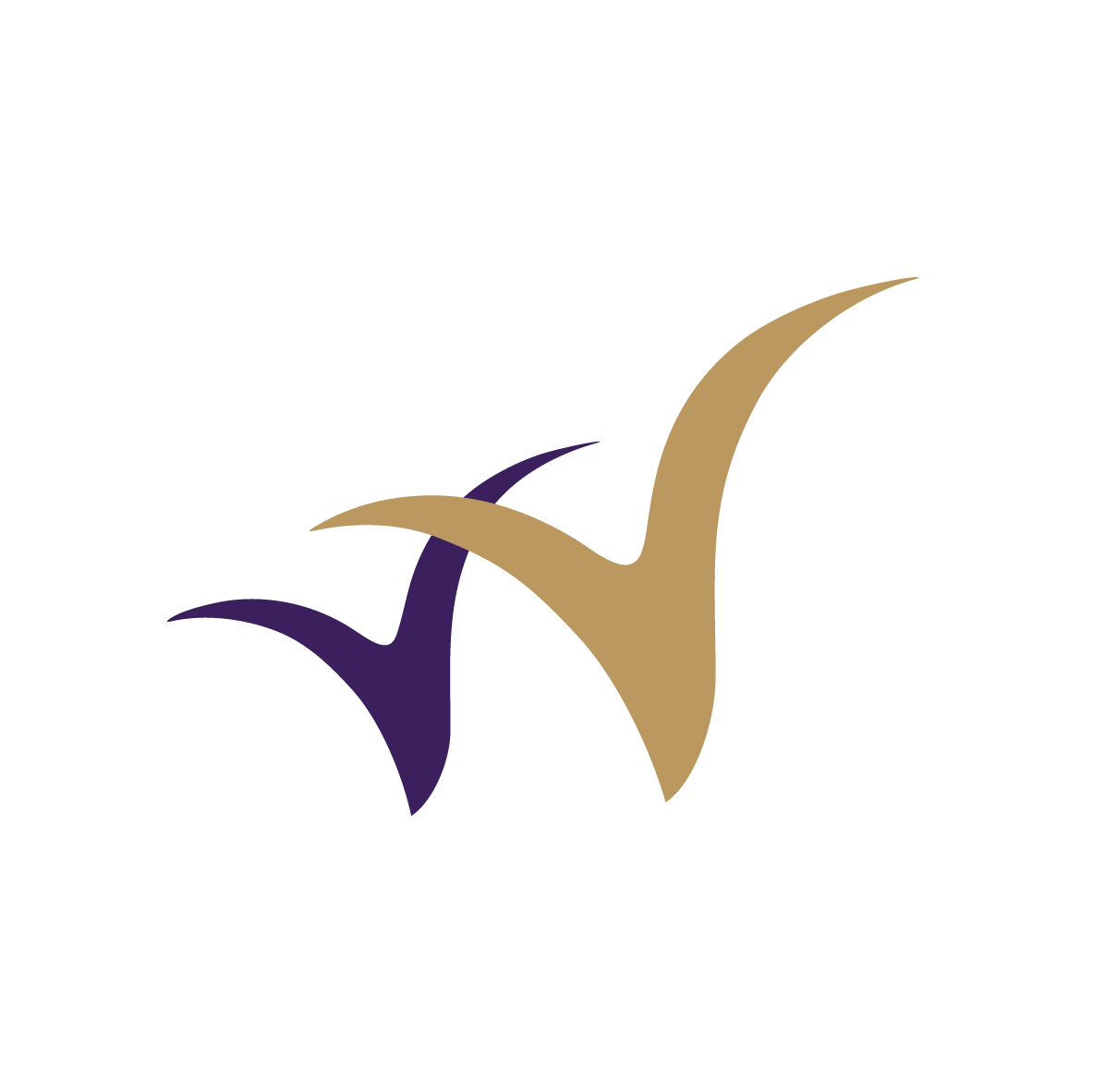 Wilat Turkey | Women in Logistics