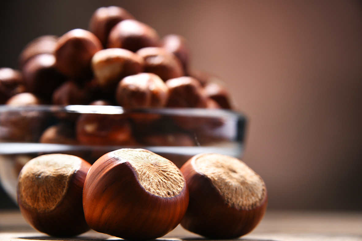 HAKKIMIZDA | albedogida