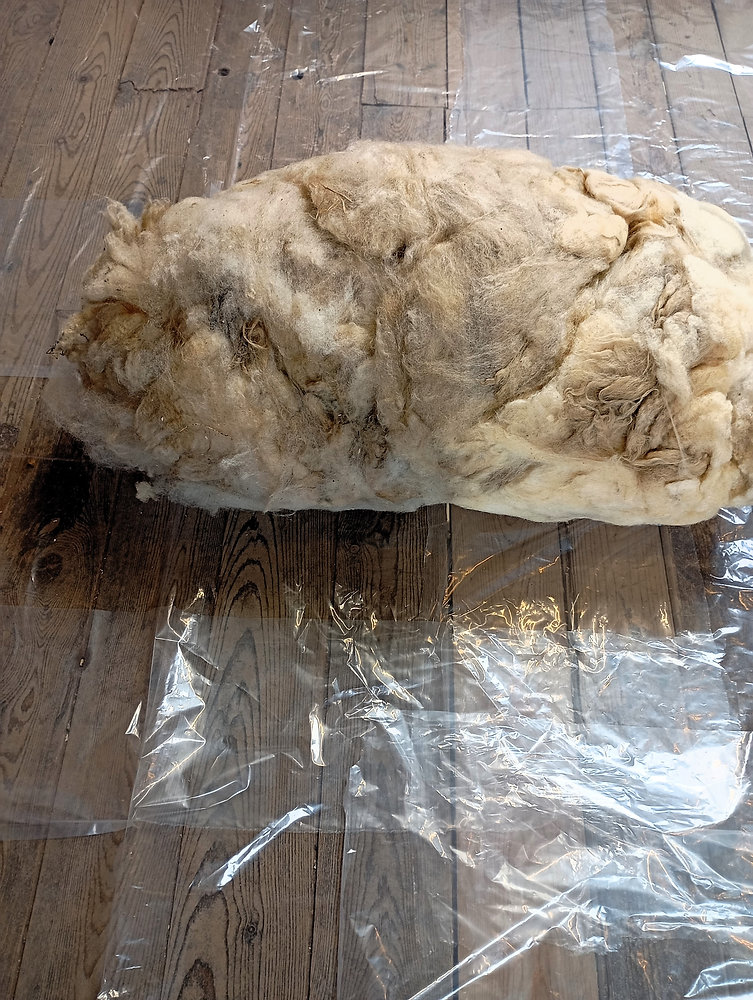 Cleaning and Processing Sheep Fleece for Spinning Commission
