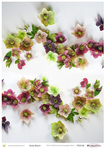 Arctic Bloom | Patina Lane