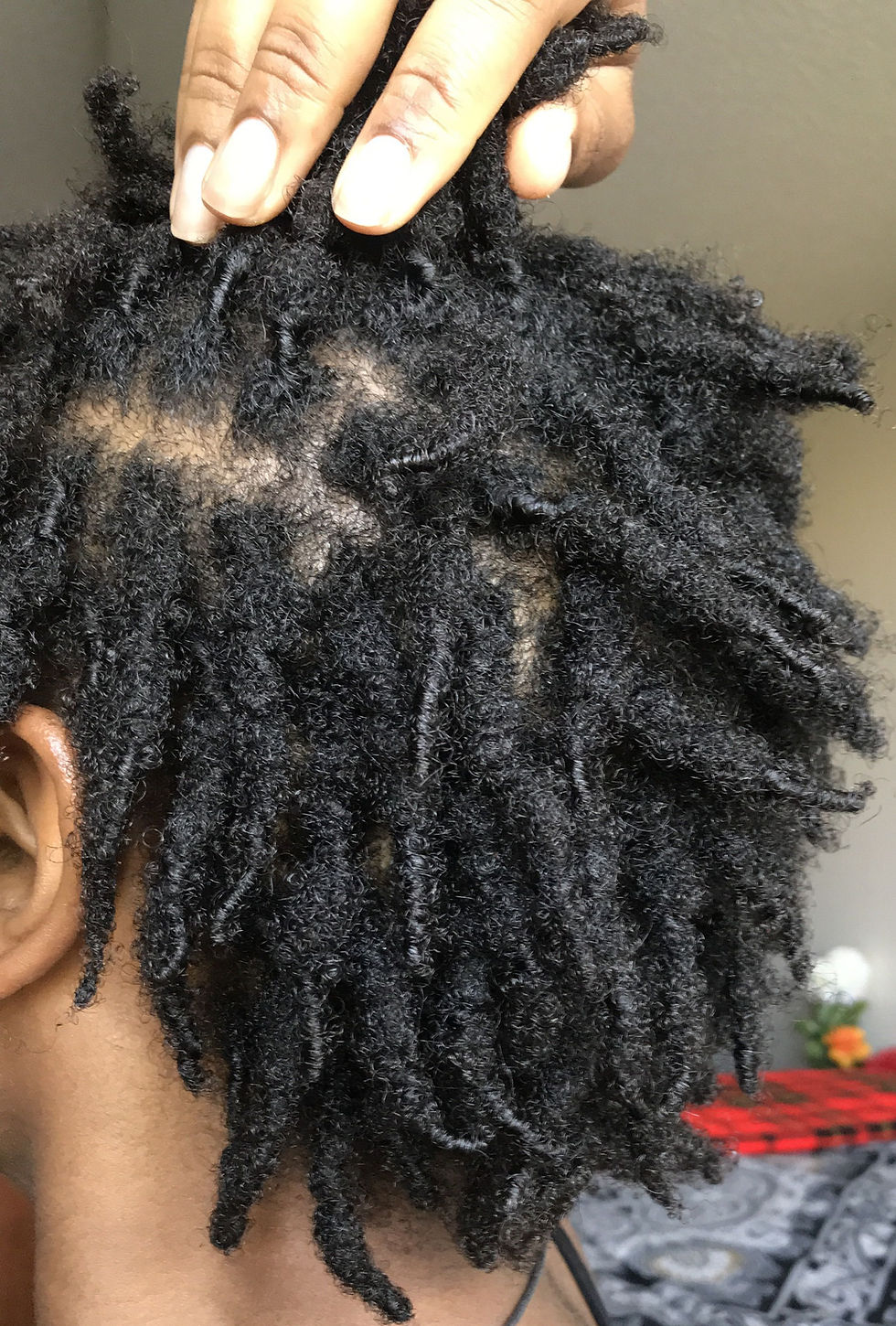 Locs' Journey (Stages Of Locs)