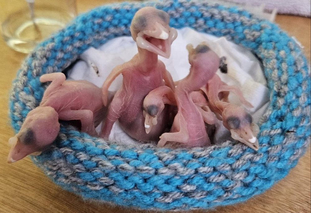 Oooooh Baby! What A Season!