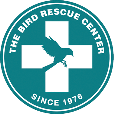 RESCUE & REHABILITATION | Bird Rescue Center