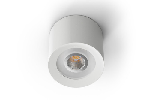 LED Ceiling Spot RGBW Tree | Protek specialists
