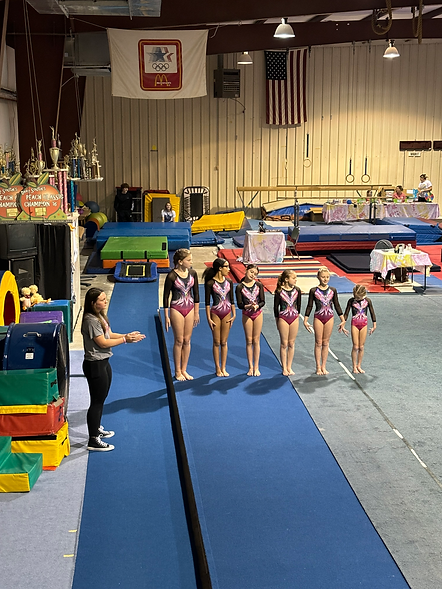 Pre-Team & Team | Rec Force Gymnastics