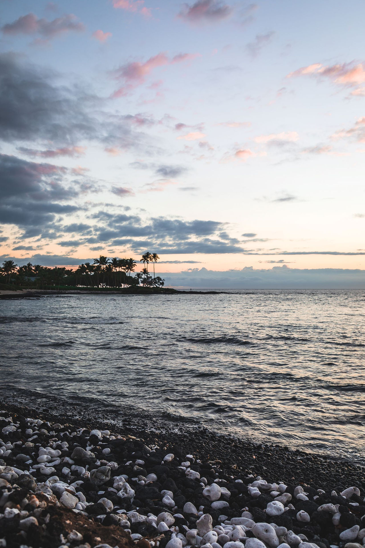 Ahonui | Hawaiipeace