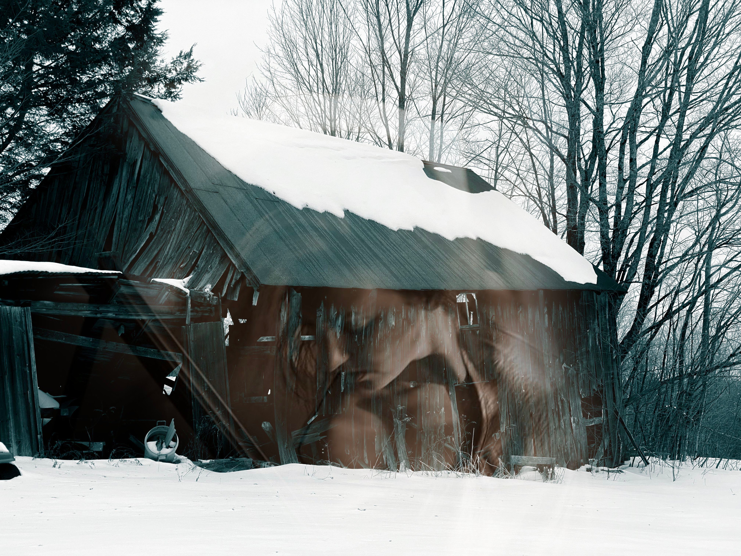 wastescapes | Marie Lynn Haas