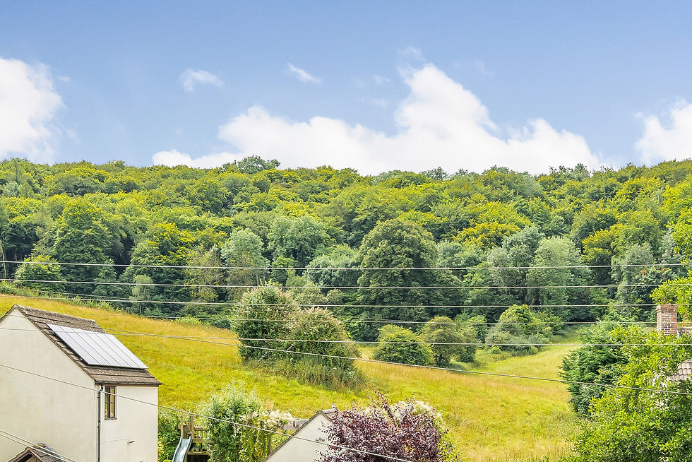 Properties For Sale | Sage Residential