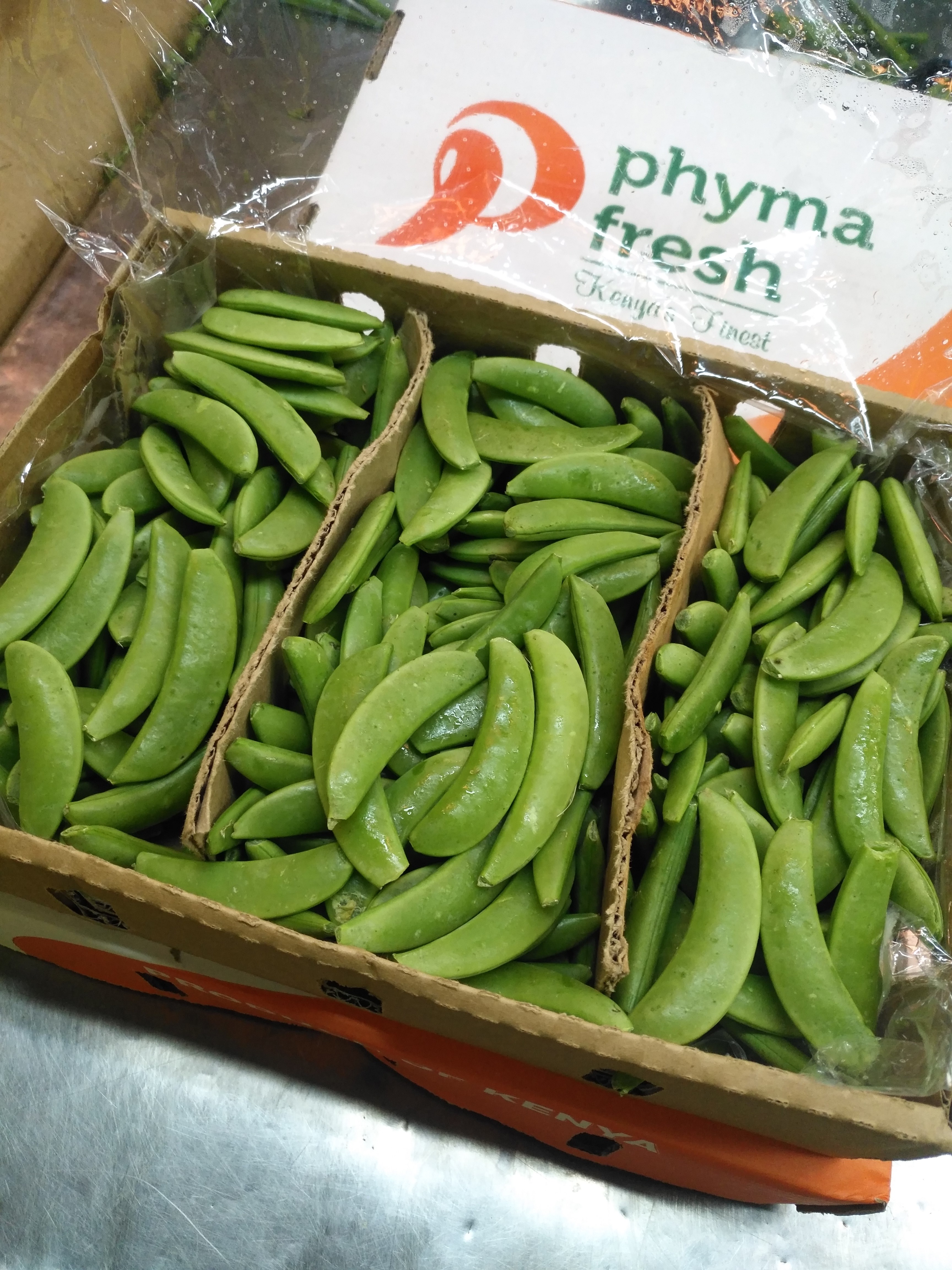 Home | Phyma Fresh Produce Limited