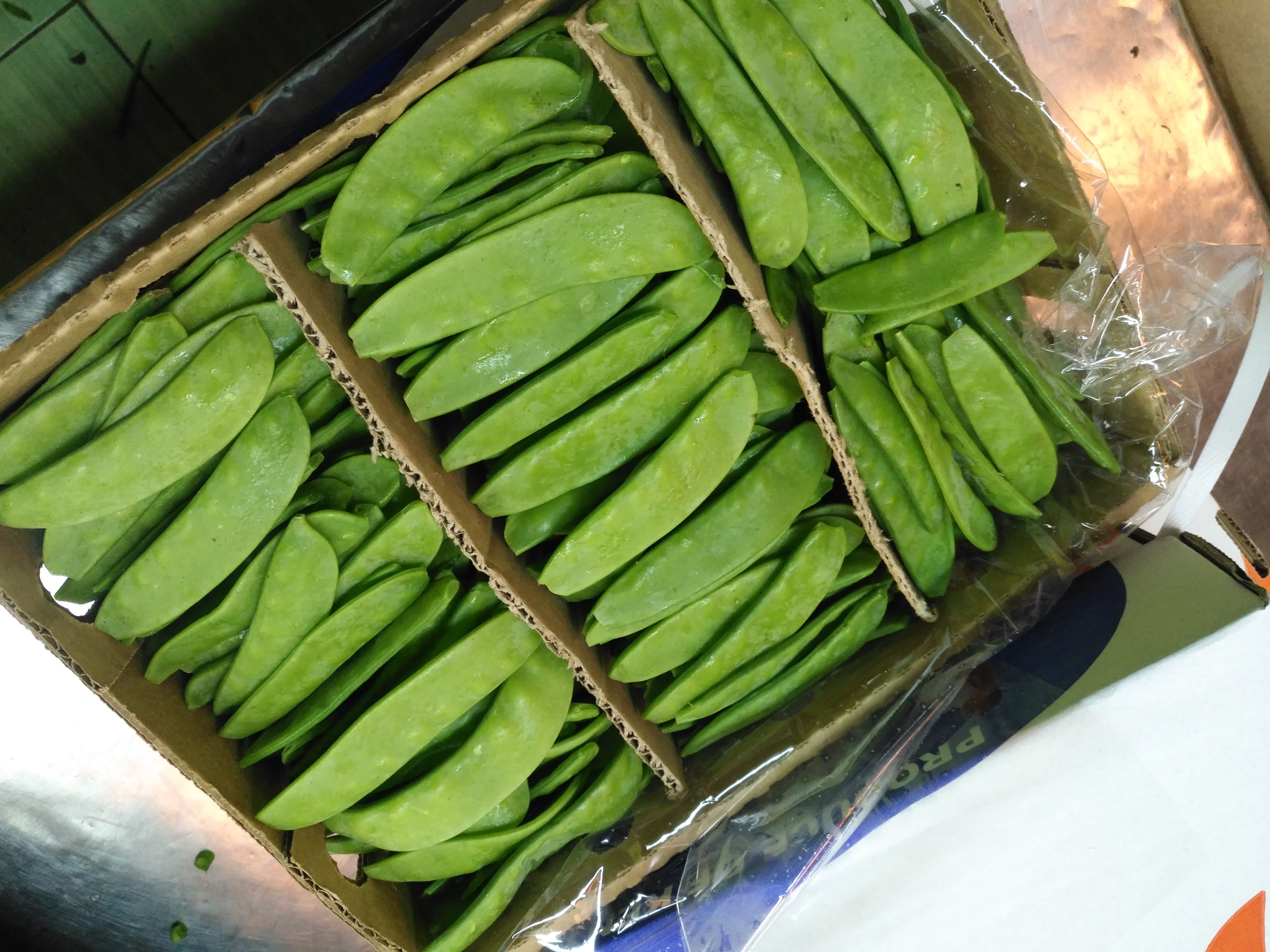 Home | Phyma Fresh Produce Limited