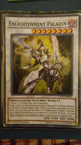 Enlightenment Paladin | Chikorita Store