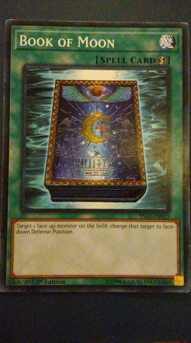 Book Of Moon | Chikorita Store