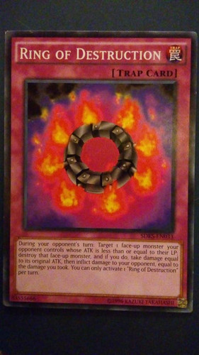 Ring Of Destruction | Chikorita Store