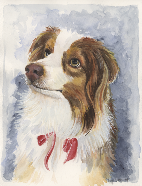 portfolio | Amy DeVane Art