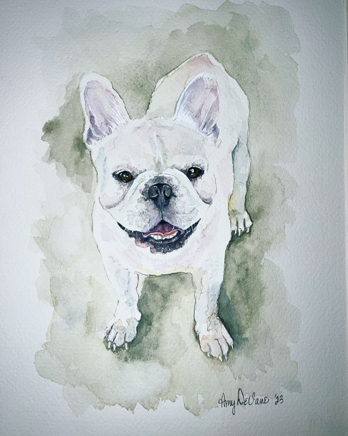 portfolio | Amy DeVane Art