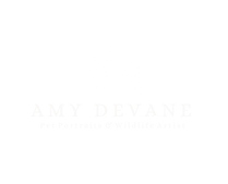 Home | Amy DeVane Art