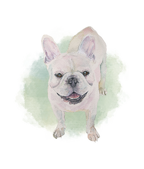 Home | Amy DeVane Art