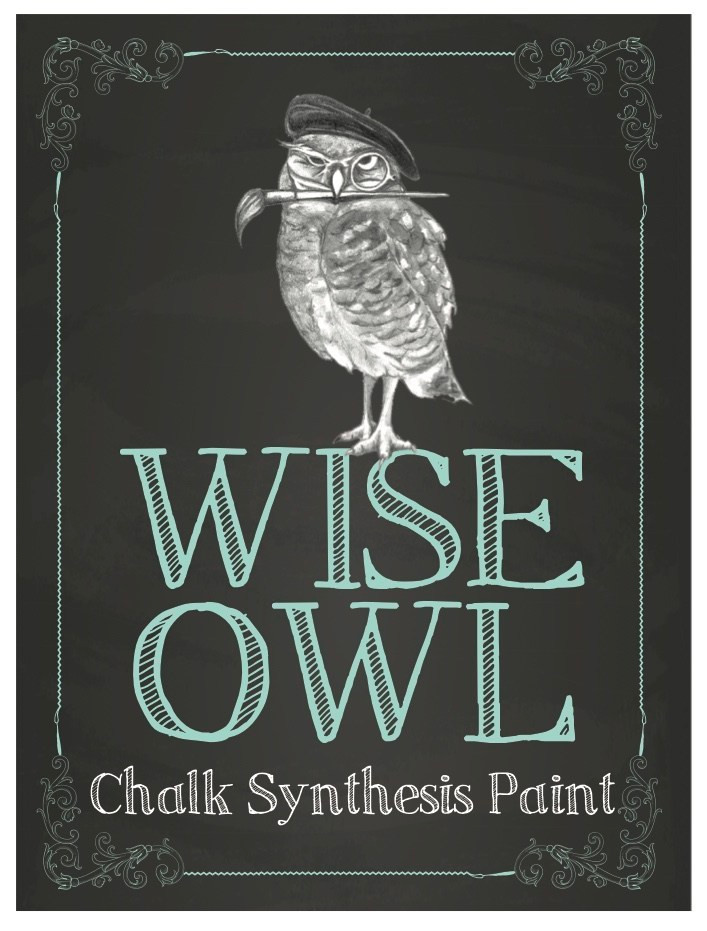 Wise Owl Paint | Elsie Lane Boutique