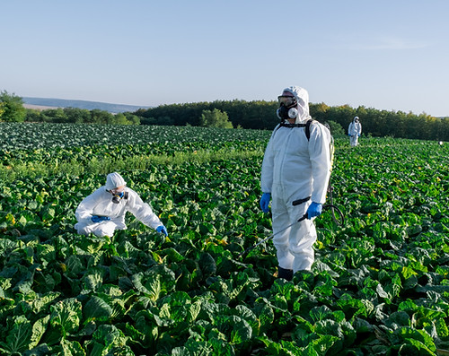 Agro Chemicals Manufacturers In Gujarat | Somnath Demeter