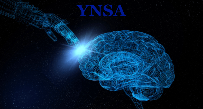 CRANIOPUNTURA DE YAMAMOTO "YNSA"