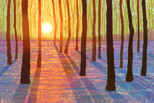 Spring Shadows canvas print | Bluebell woods spring picture low ...