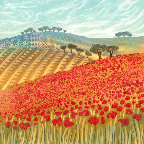 Patchwork Poppies canvas art print poppy fields Northumberland artists