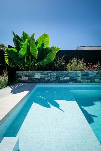 Caringbah I Project - Pinnacle Pools