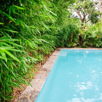 Projects - See our latest work